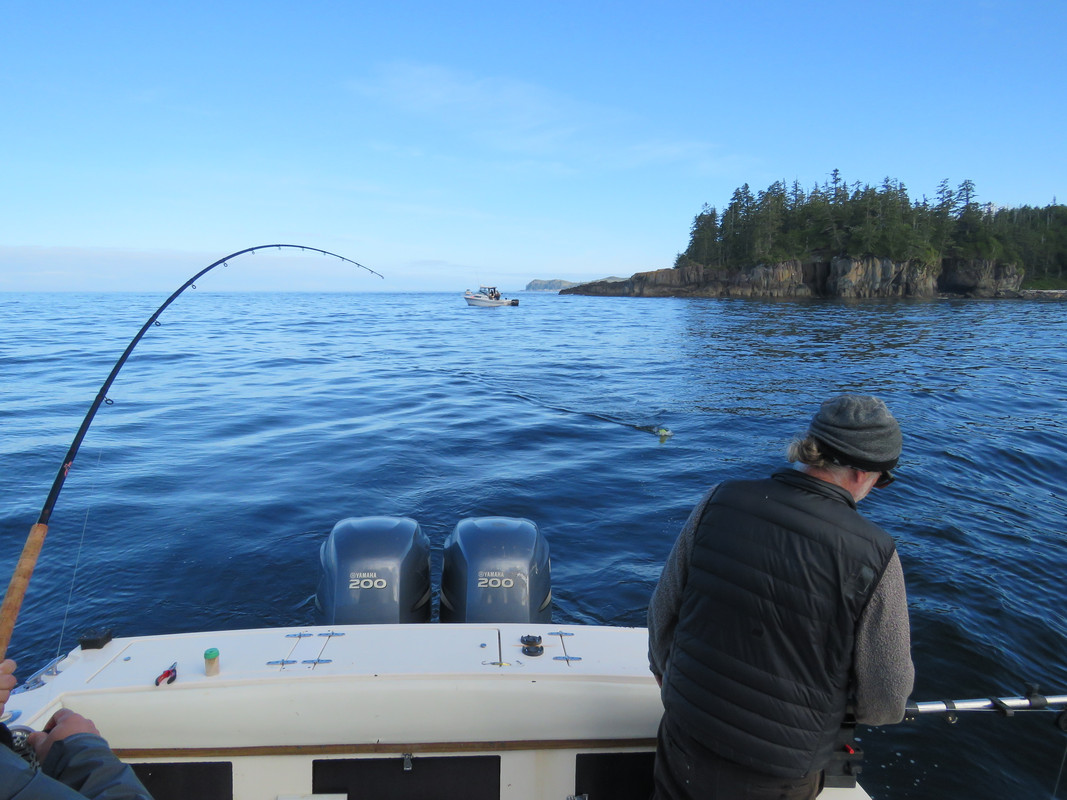 IMG 1568 — Postimages