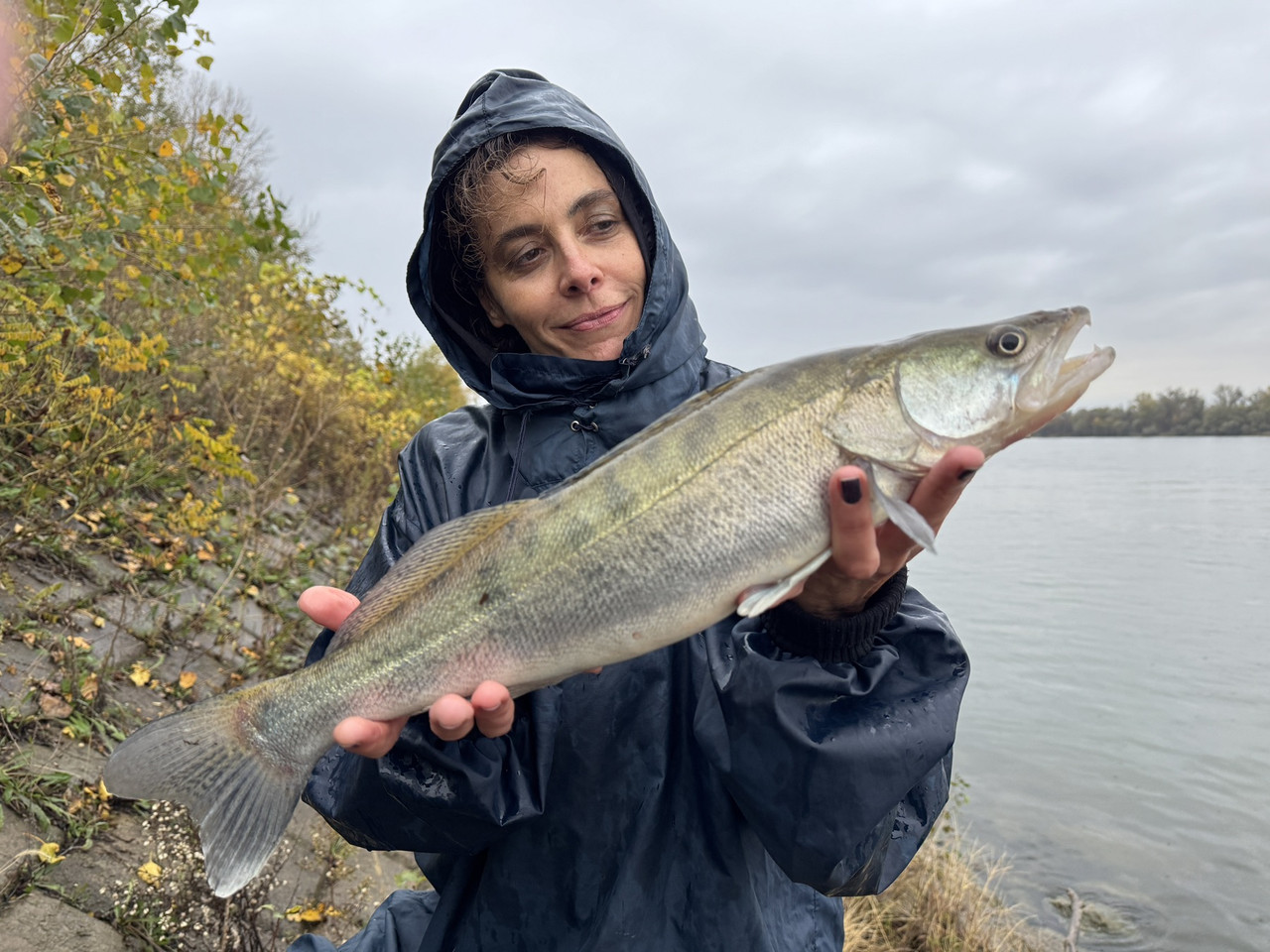 Smudj 2025 - Strana 5 - Varaličar.com