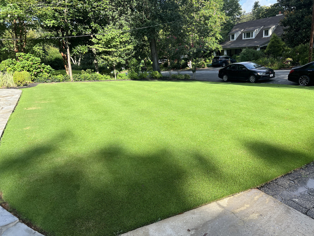 0 DD80501 4870 445 E 98 B8 2518 C3 F6 ABB2 — Postimages