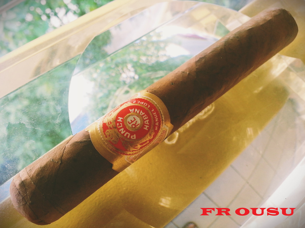 Punch tres petit FR OUSU — Postimages