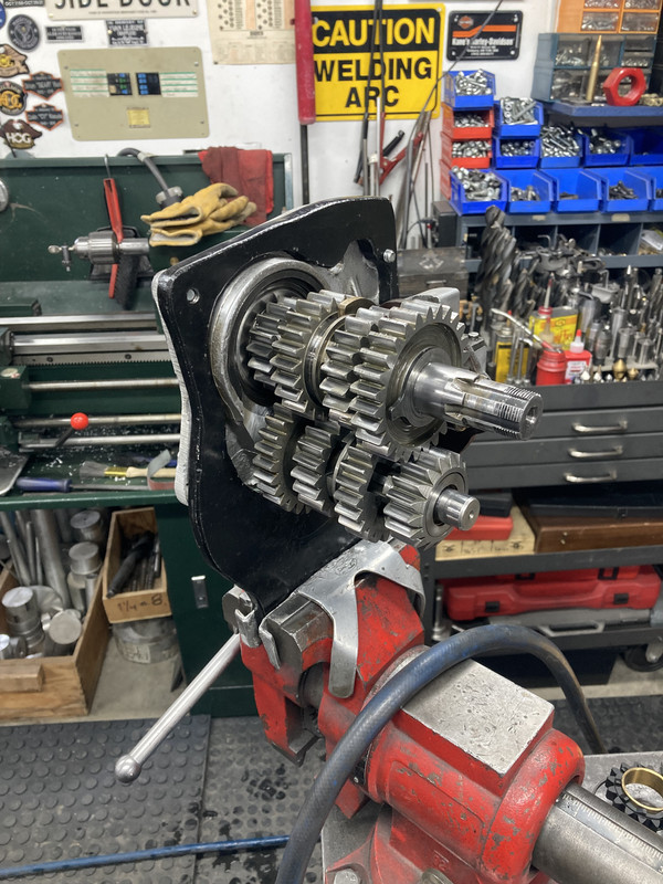 1979 XLS rescue - The Sportster and Buell Motorcycle Forum - The XLFORUM®