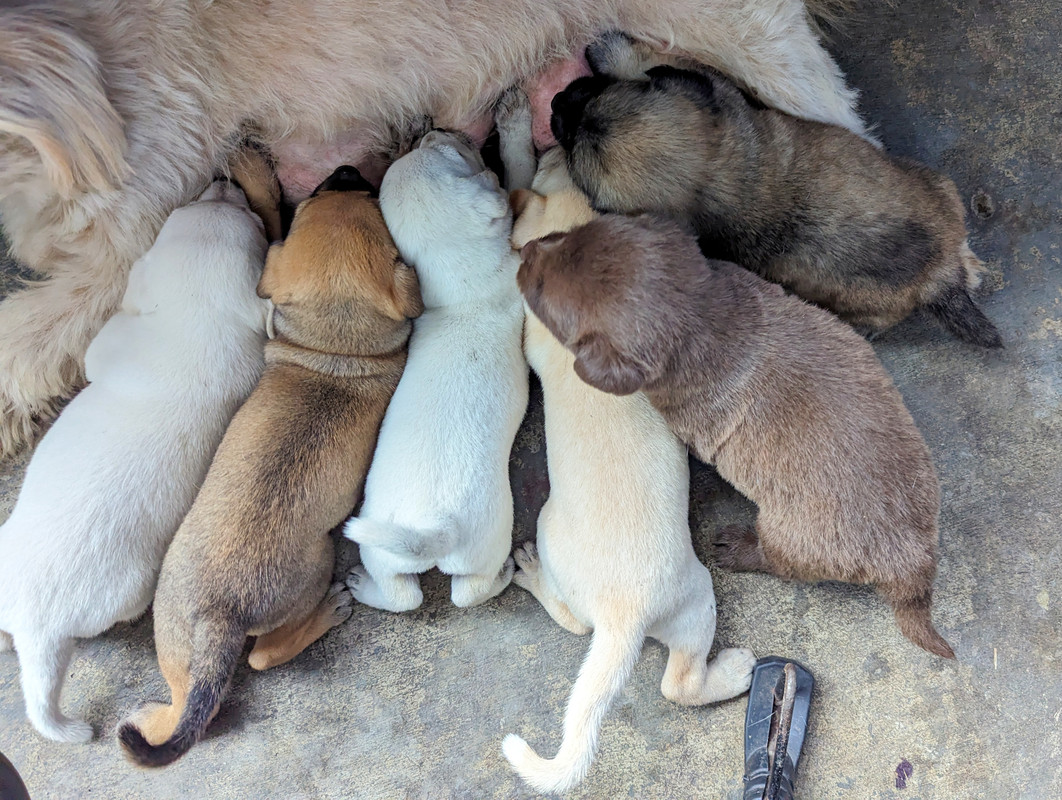 Mix 20240404 163845 — Postimages