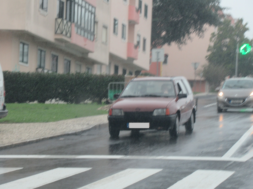 IMG 3036 — Postimages