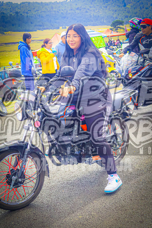 PL2 3018 — Postimages