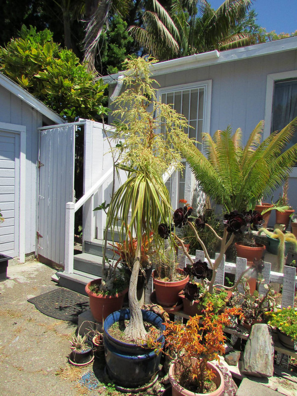 IMG 5154 — Postimages