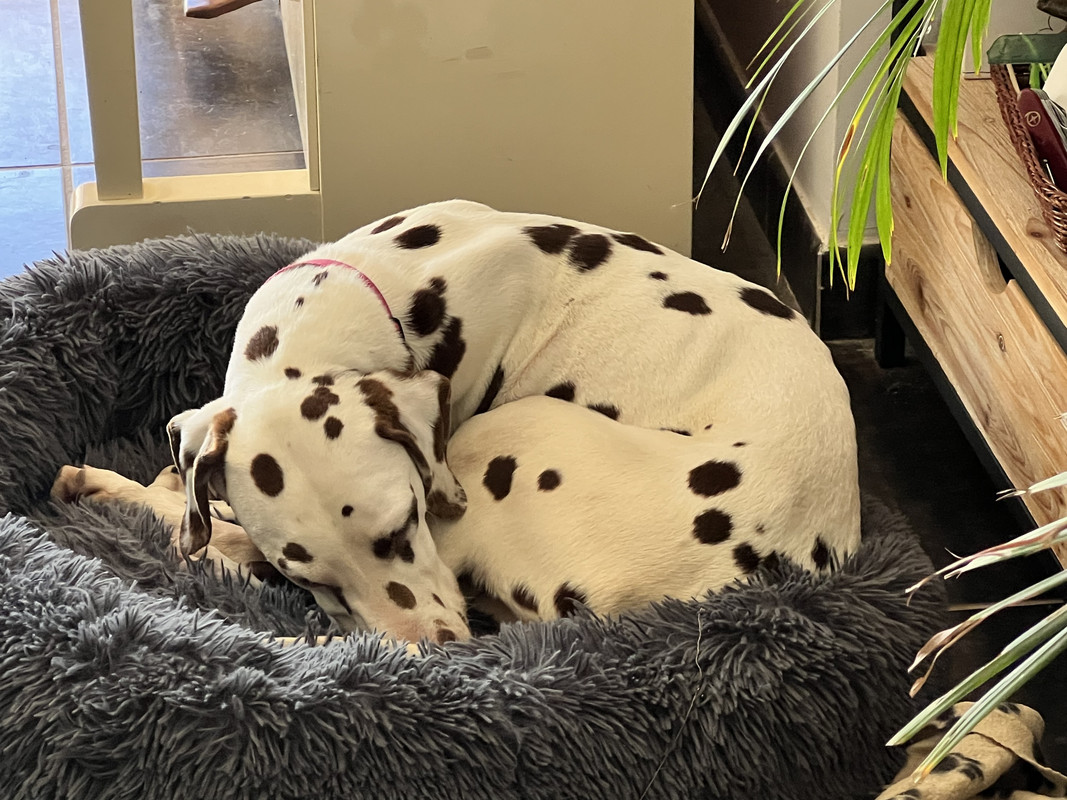 IMG 5625 — Postimages