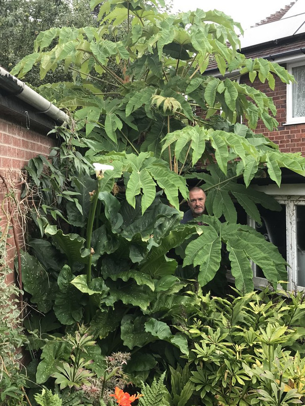 7 EDBDF20 A858 47 DA 868 A 2 C2 F7 D93 B062 — Postimages