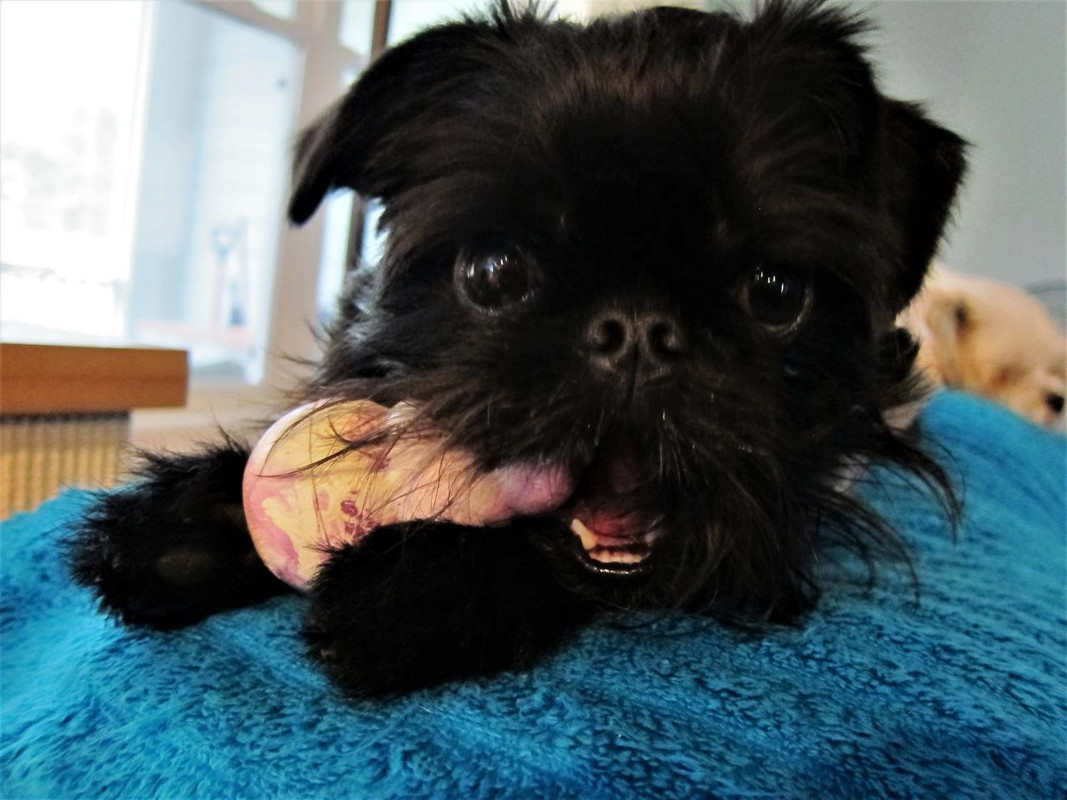 006 (2) — Postimages