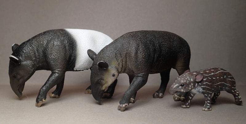 The Malayan tapir from CollectA, comparisons and a couple of close-ups.