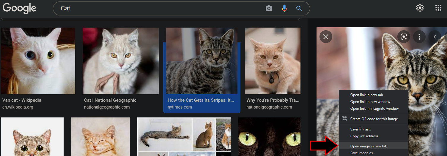 Tutorial: How to add images into forums posts and fiction chapters ...