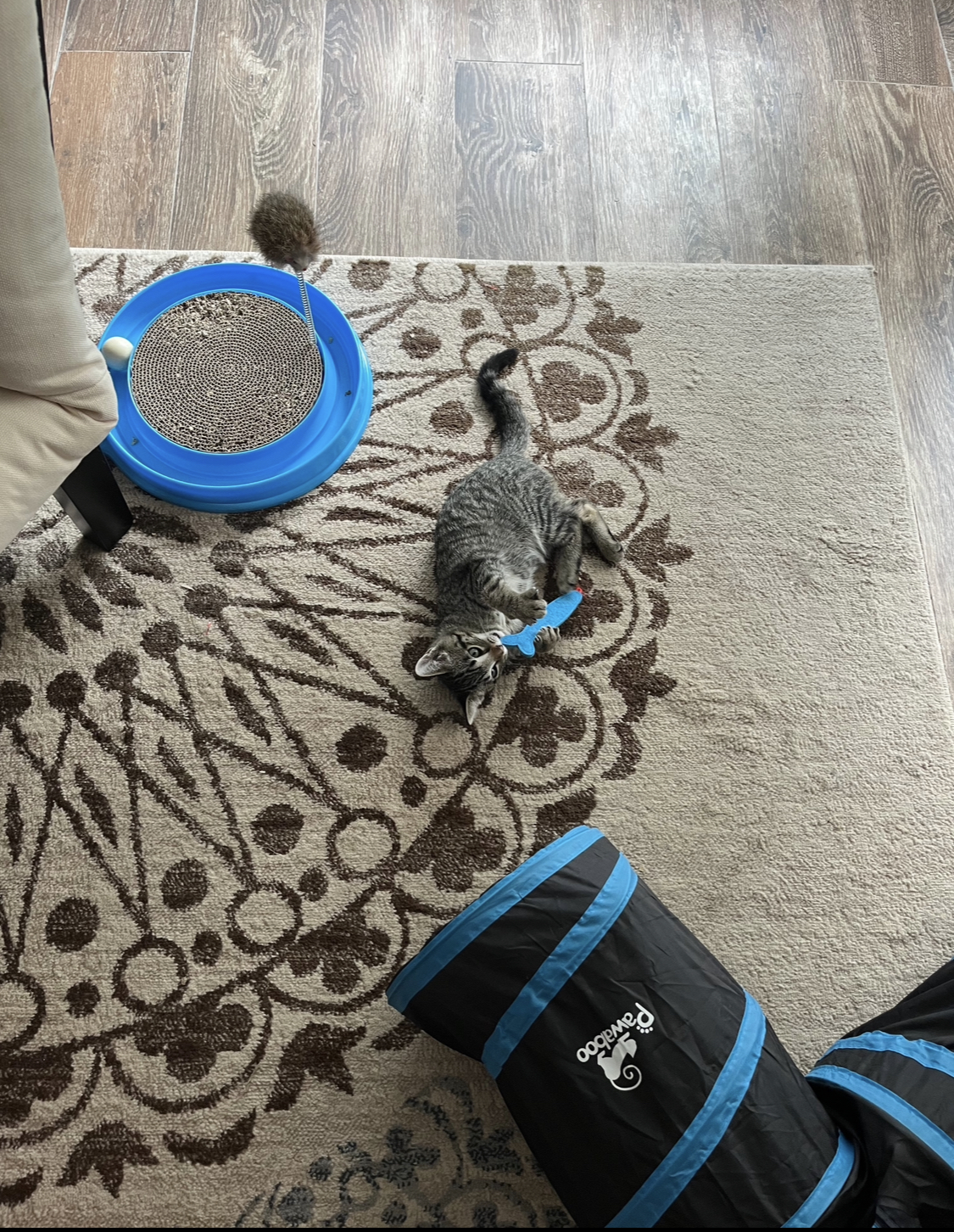 IMG 8292 2 — Postimages