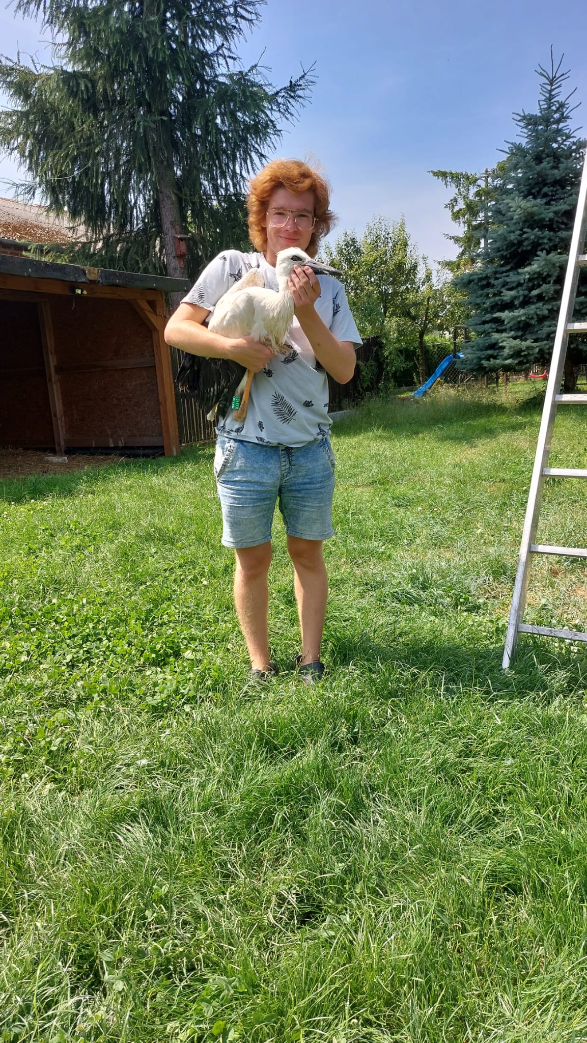 DIMG 20230704 WA0003 — Postimages