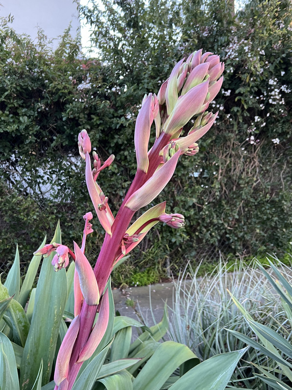 IMG 3389 — Postimages