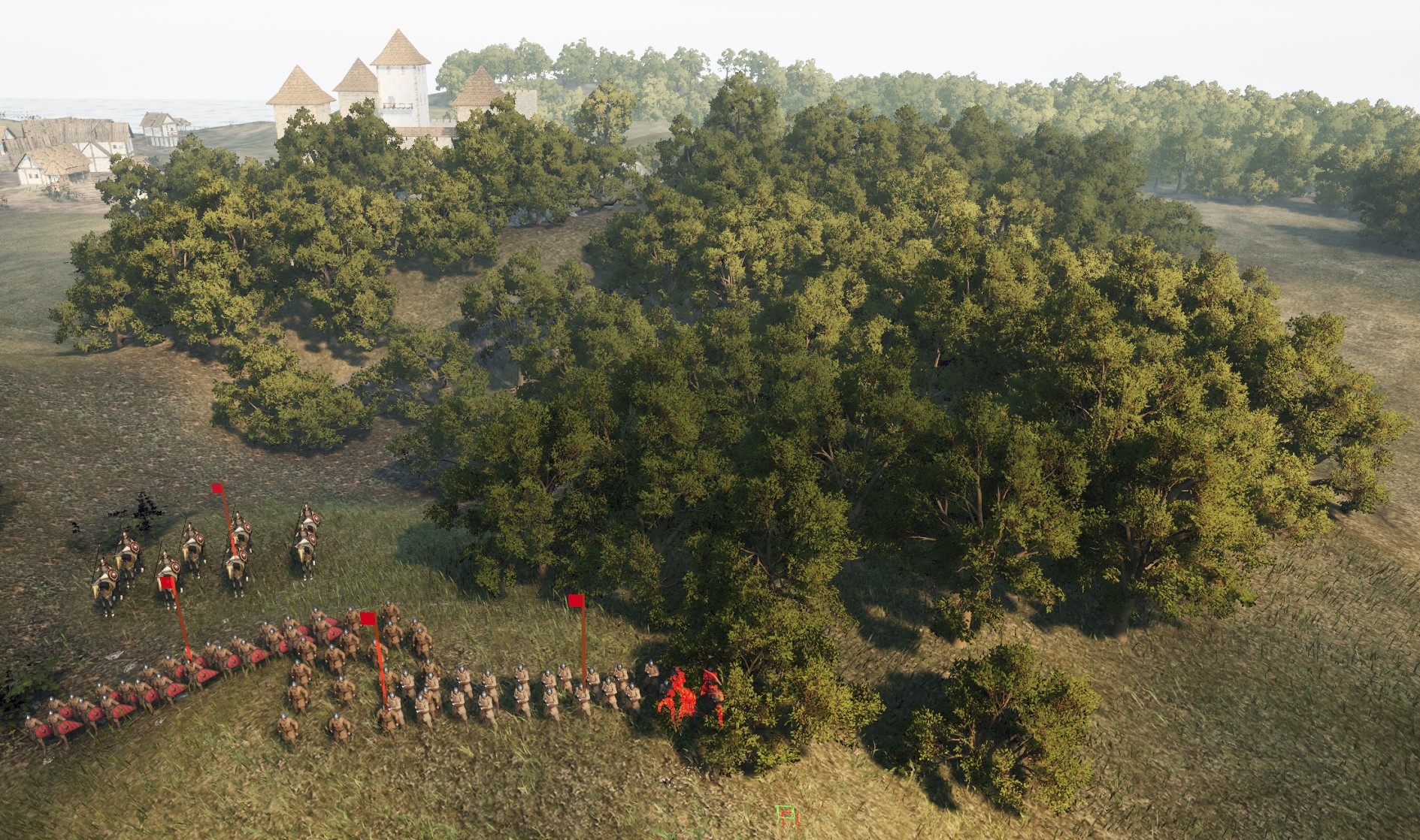 Dekogon oak forest noao2 — Postimages