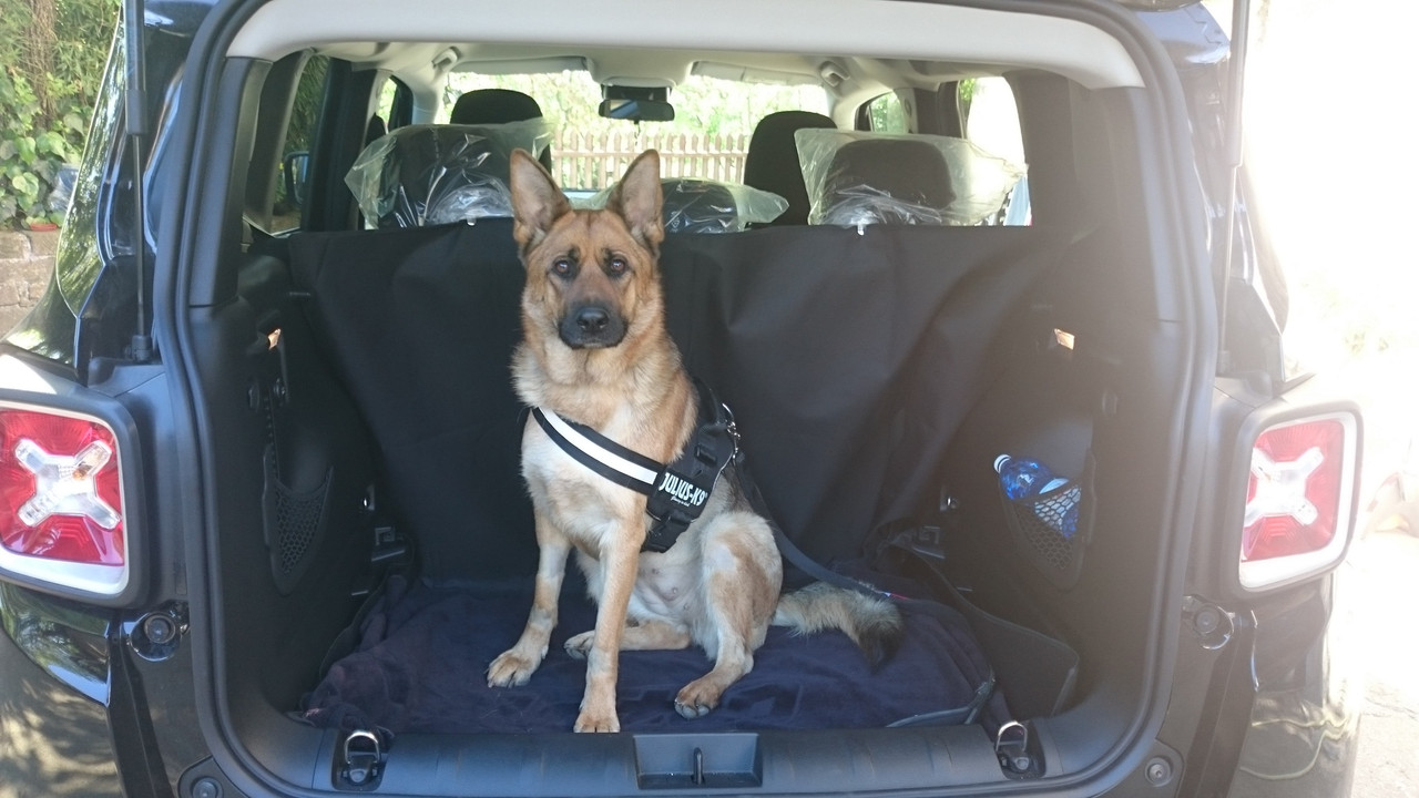 DSC 2877 — Postimages