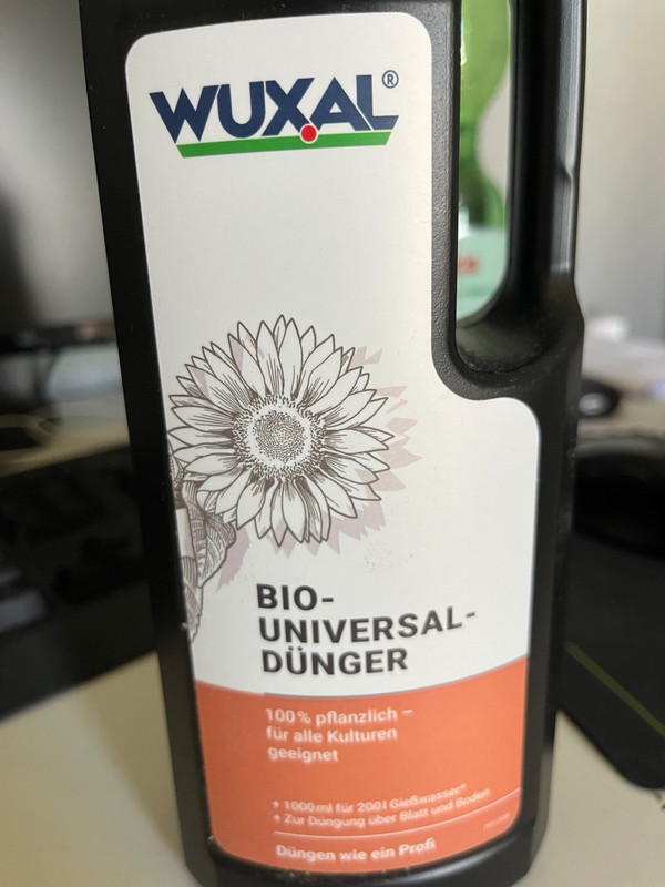 IMG 2011 — Postimages