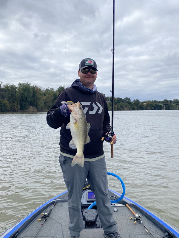 048 B2648 E4 D3 435 B 998 F 8 A0 D5940 BD8 B — Postimages