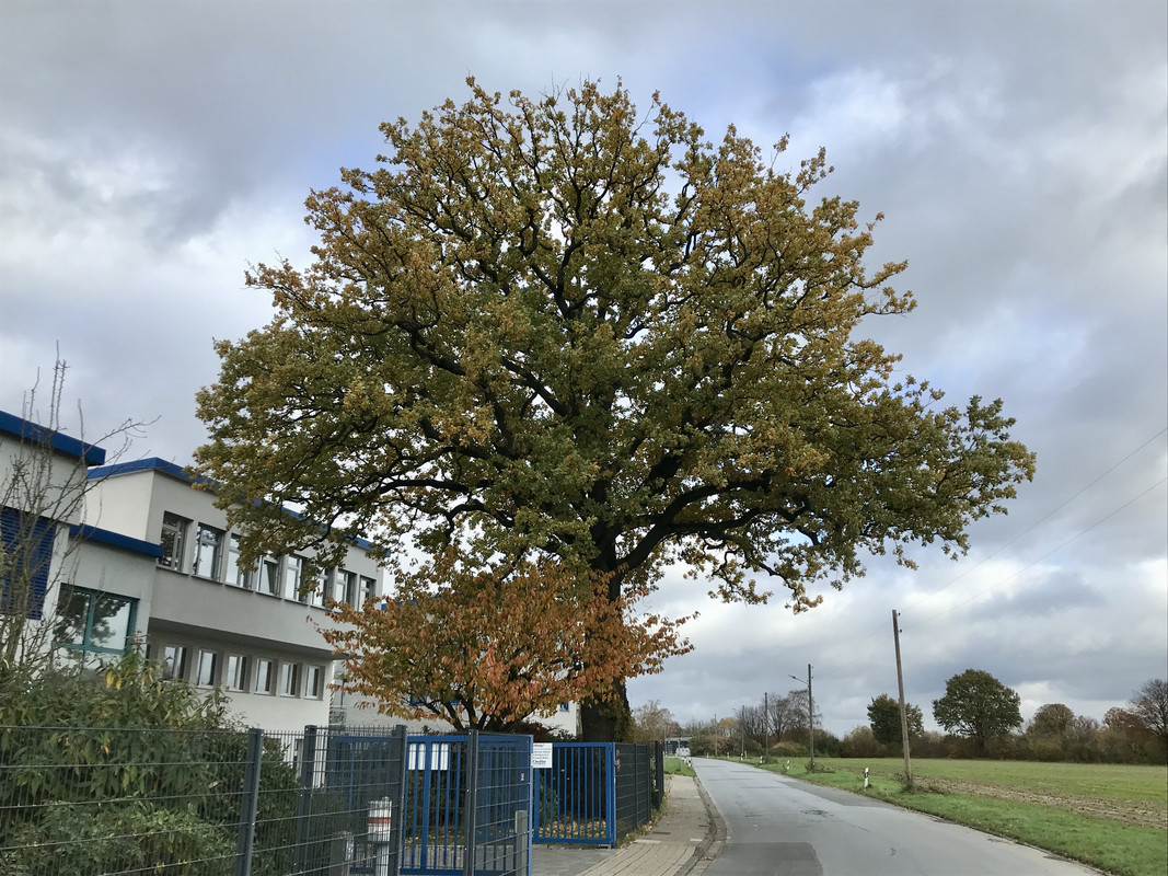 BA1 D0 B85 CA2 E 4 CA2 B6 EF EB64823 BB1 FF — Postimages