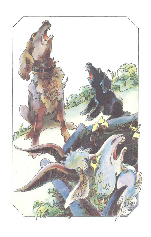 p0087 — Postimages