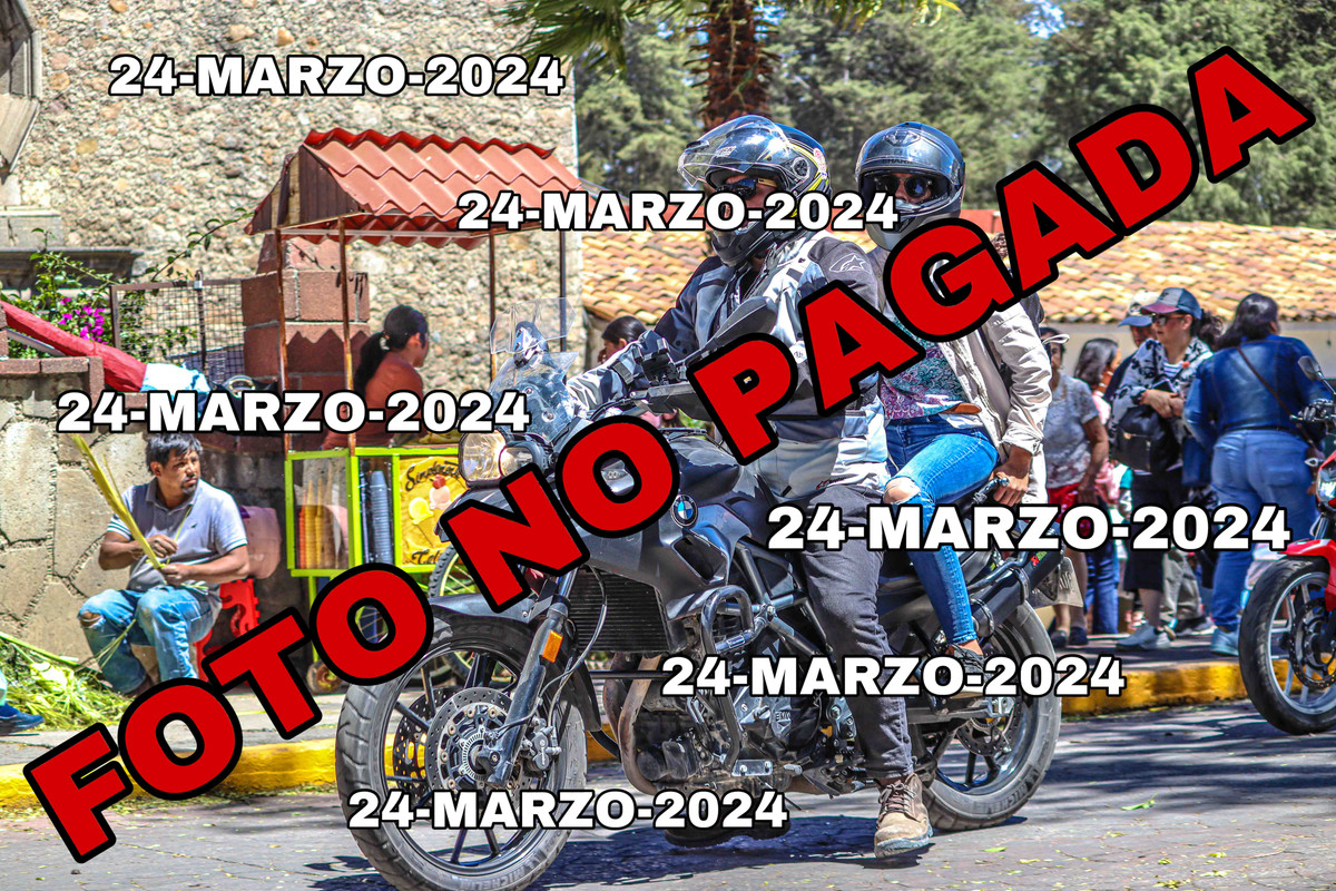 CV 1251 — Postimages