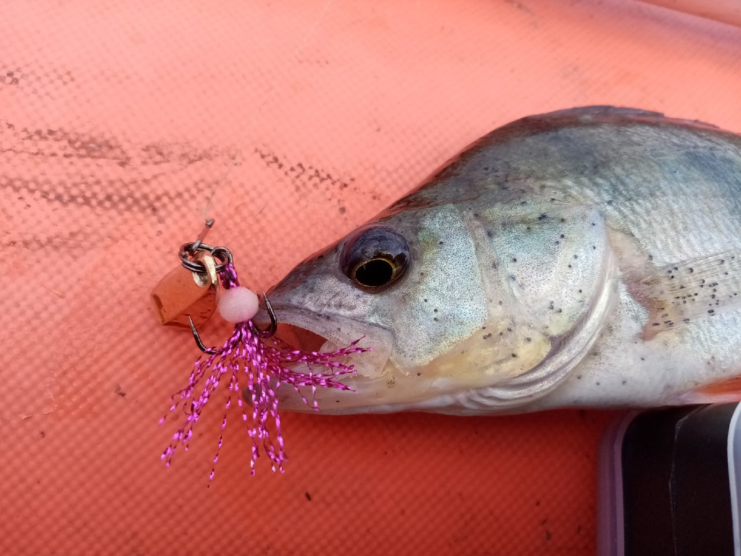 p UQu Jhwwt Lg — Postimages