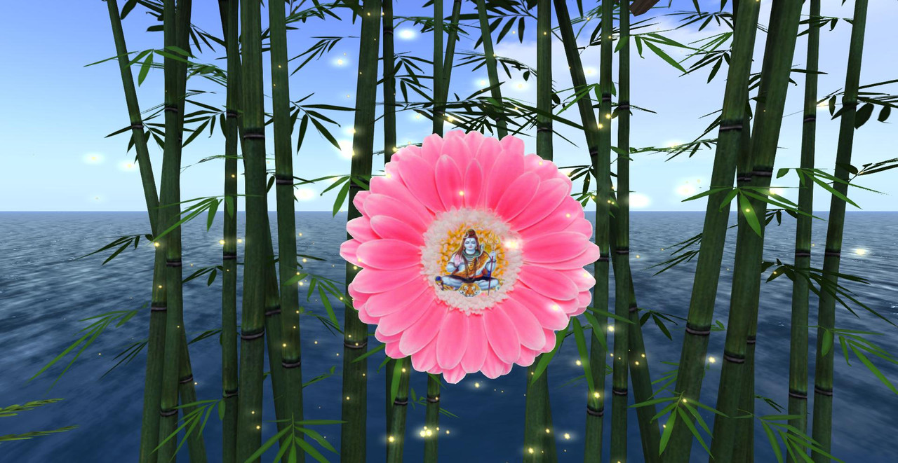 Snapshotbhhiuff 159 — Postimages