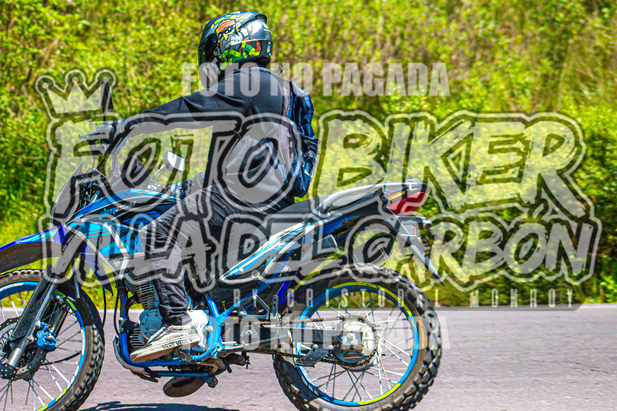 cvp8 119 — Postimages