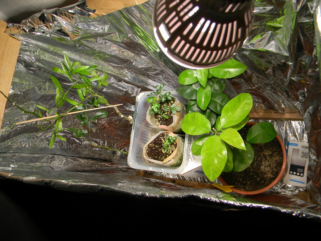 led sansi — Postimages