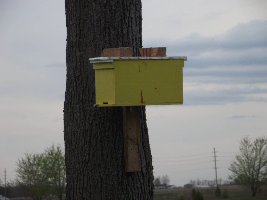 DSCF0780 — Postimages