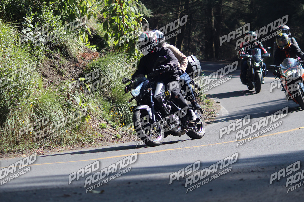 IMG 2616 wm 925493 9999999999 watermarked — Postimages