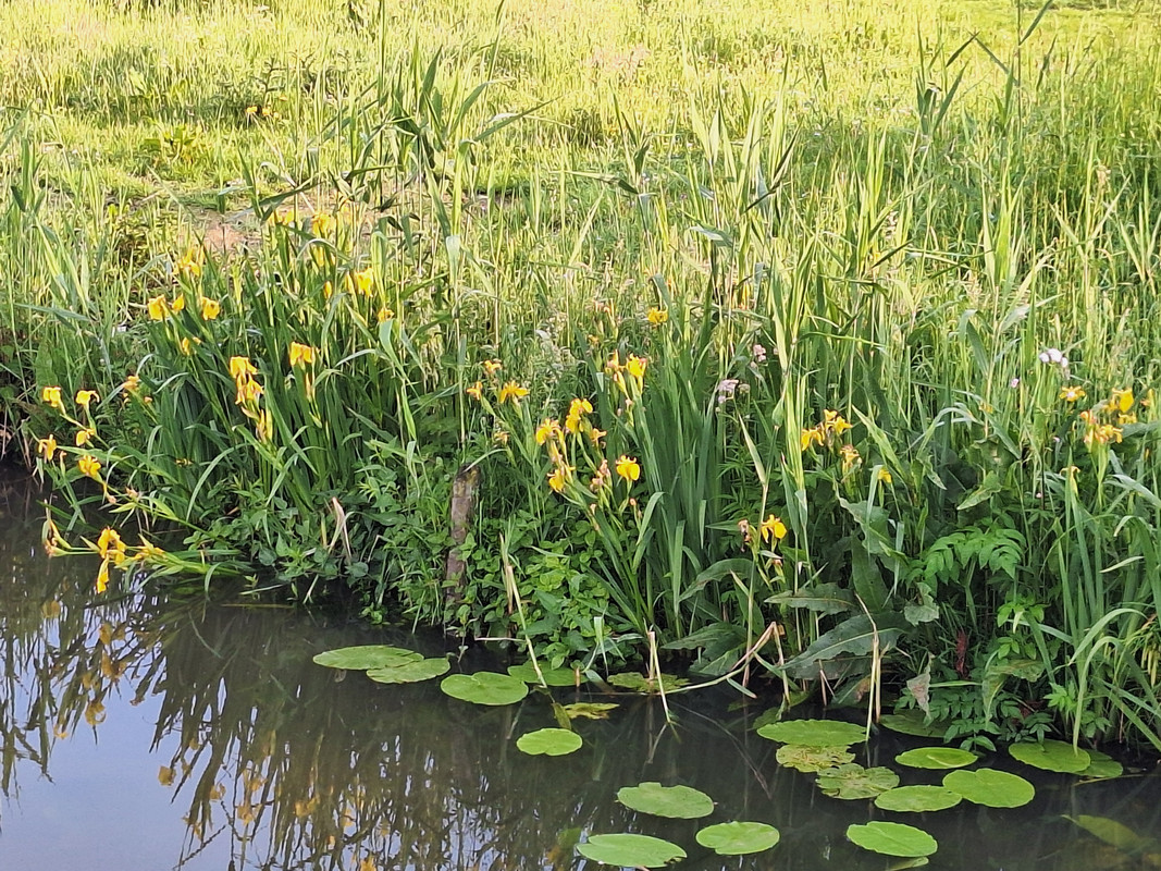 20240519 074111 — Postimages