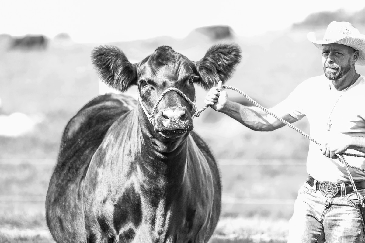 Fre Anna 2021 M b w — Postimages