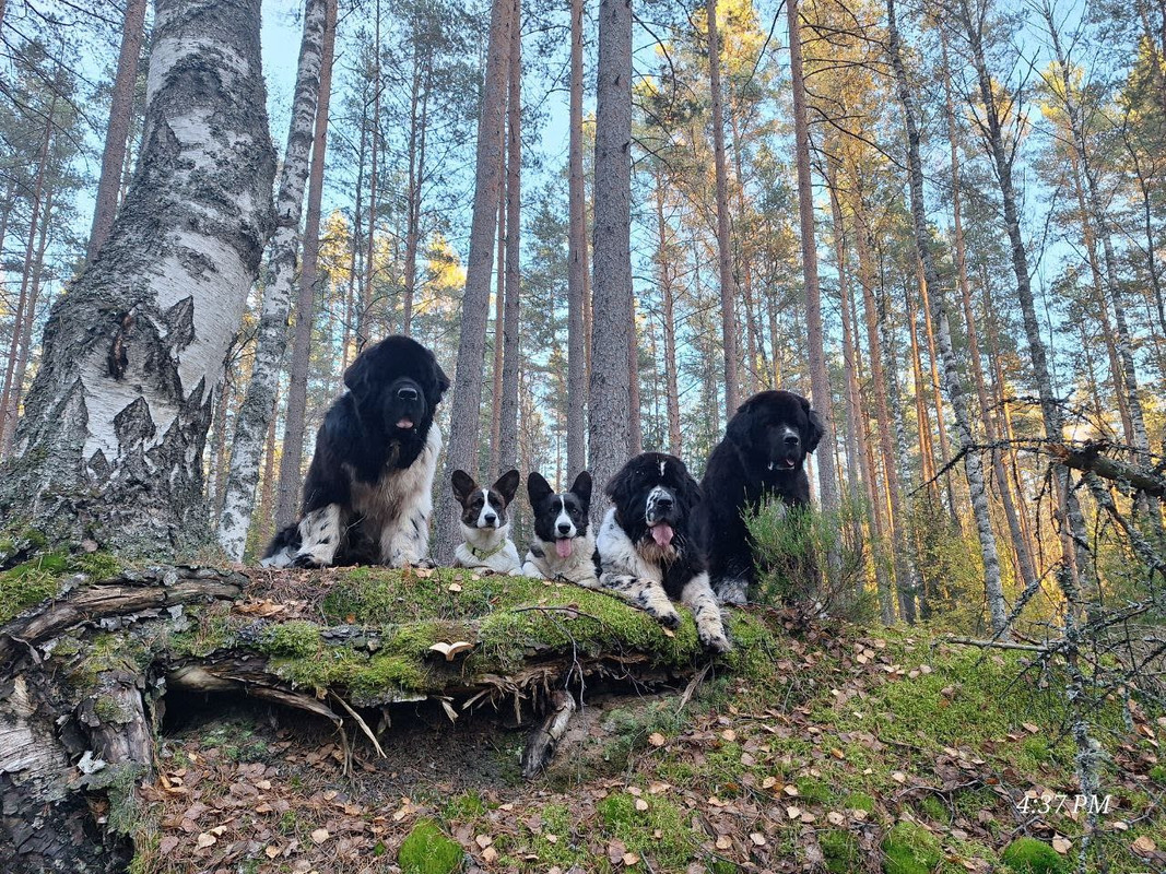 IMG 20241020 173102 033 — Postimages