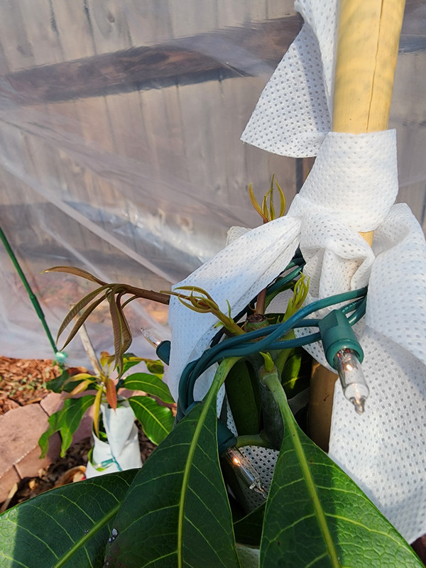 20250109 110102 — Postimages