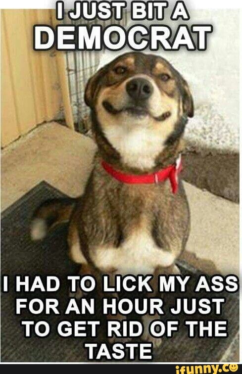 Breaking News: Biden's GSD's removed from WH over aggressive behavior ...