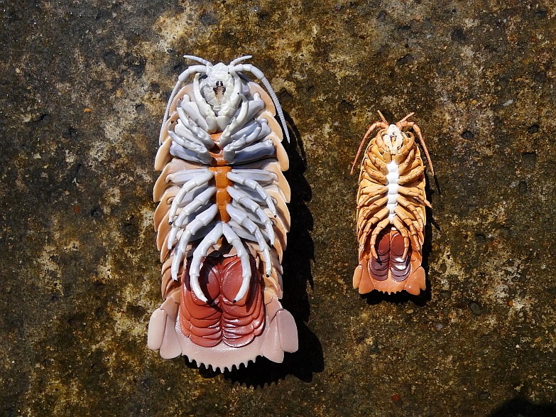 Isopods (Kitan Club / Nature Techni Colour)