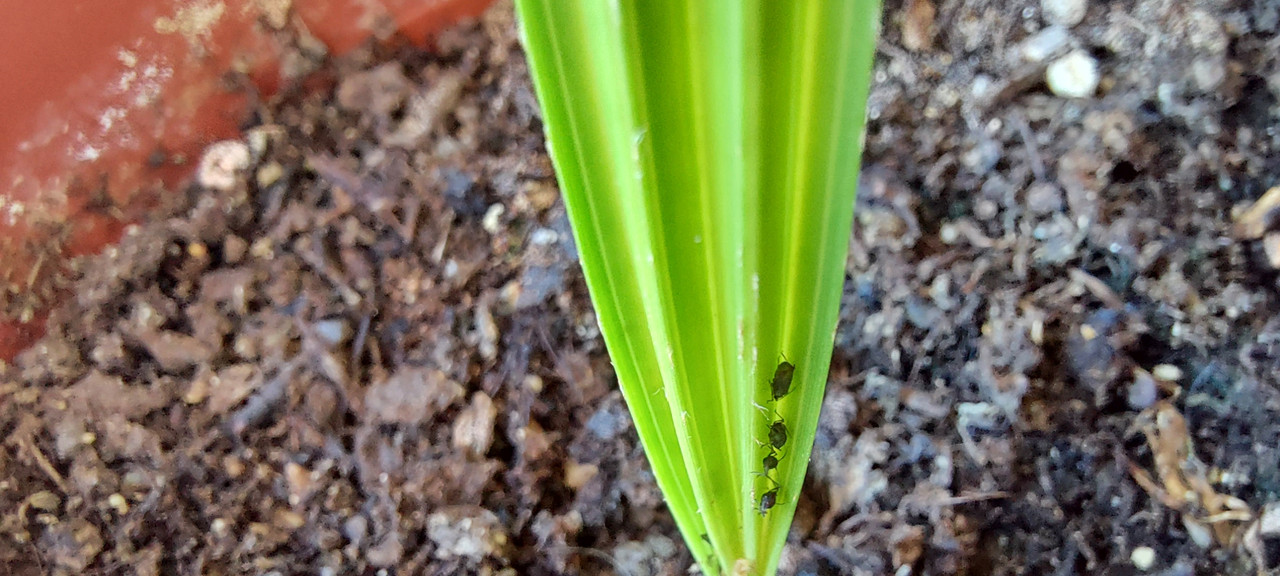 20241105 095910 — Postimages