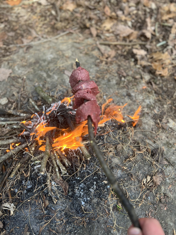 30-30 vs 223 for deer rifle - 24hourcampfire