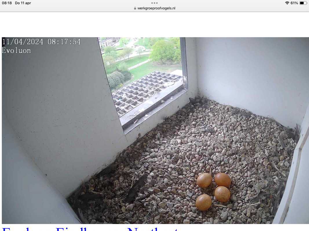 IMG 0014 — Postimages