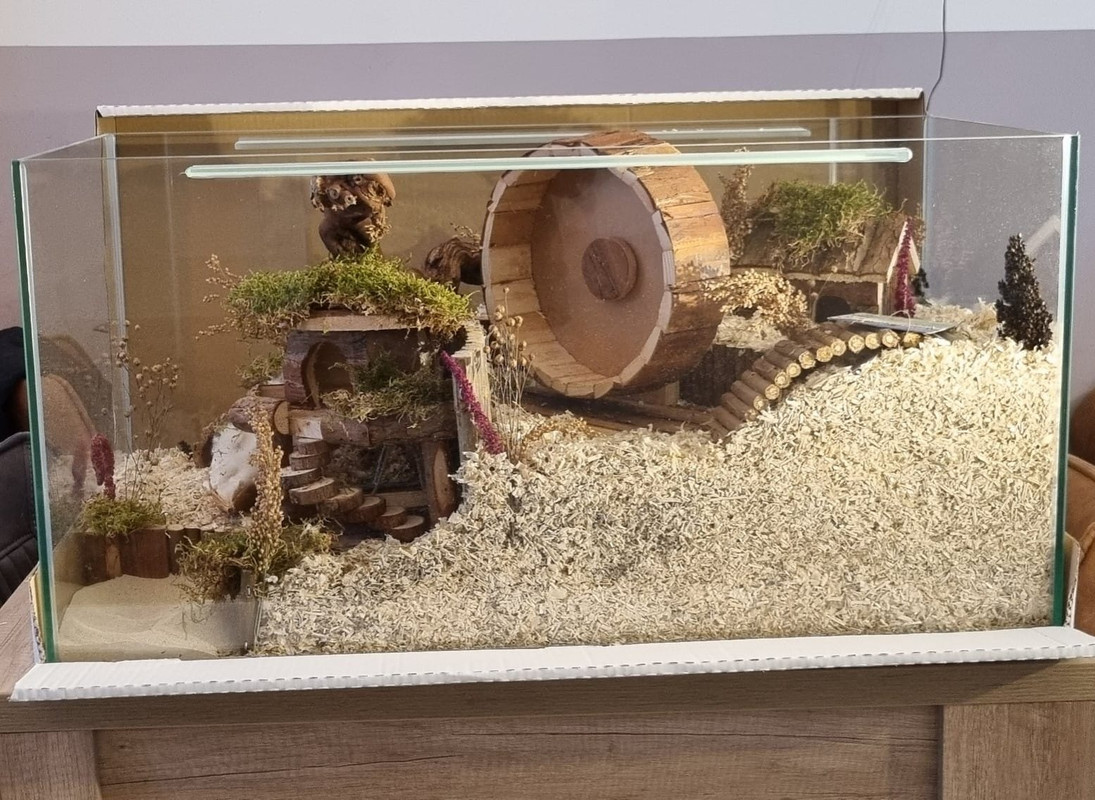 80x40x40 6 december 2021 — Postimages