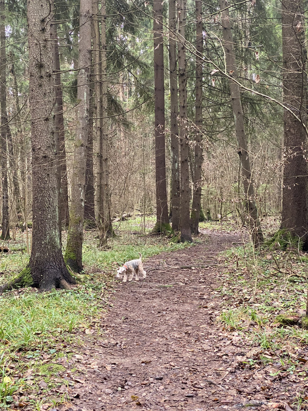 IMG 1002 — Postimages