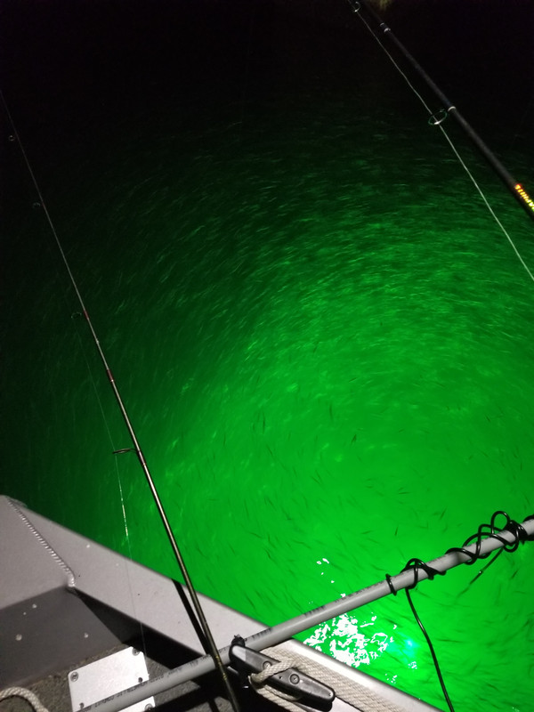 20230608 232005 — Postimages