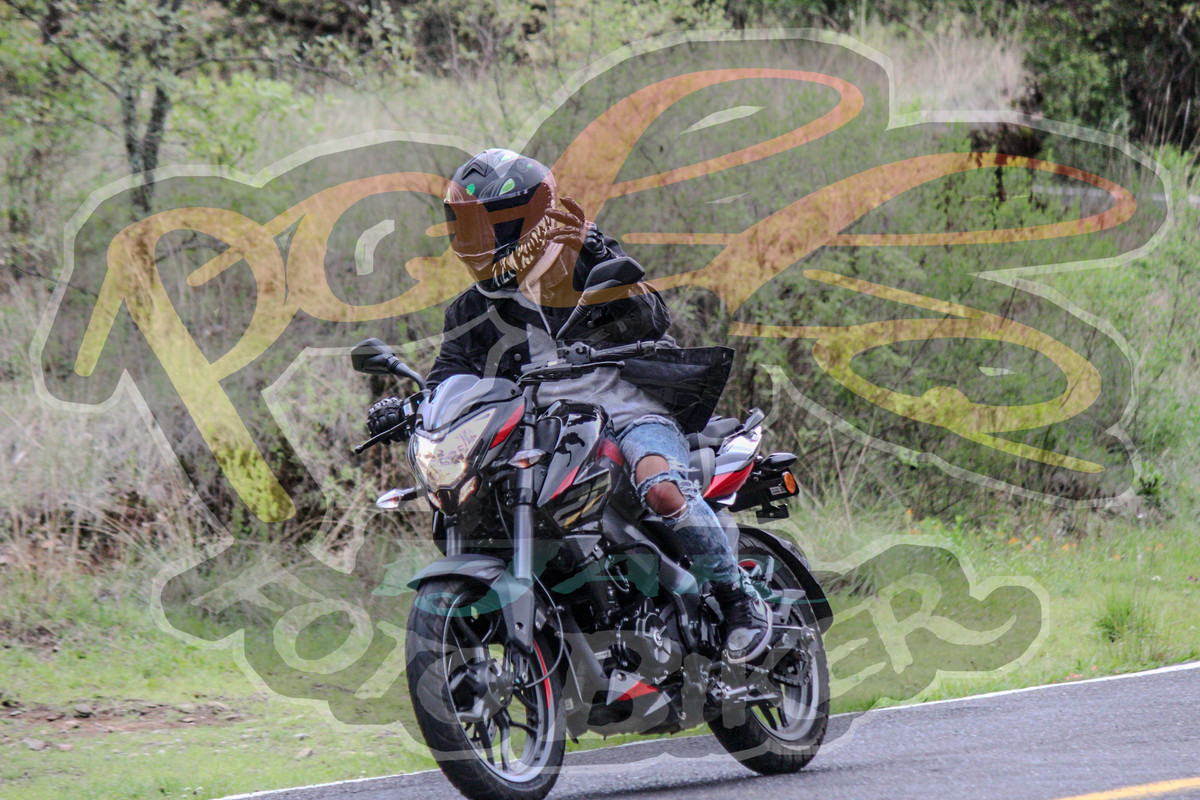 IMG 2772 — Postimages