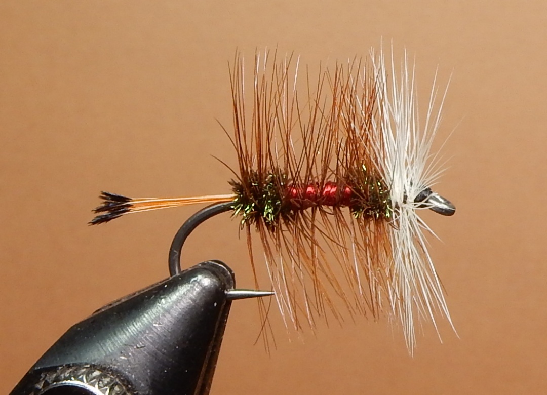 Royal Coachman Bivisible - Fly Tying - Maine Fly Fish
