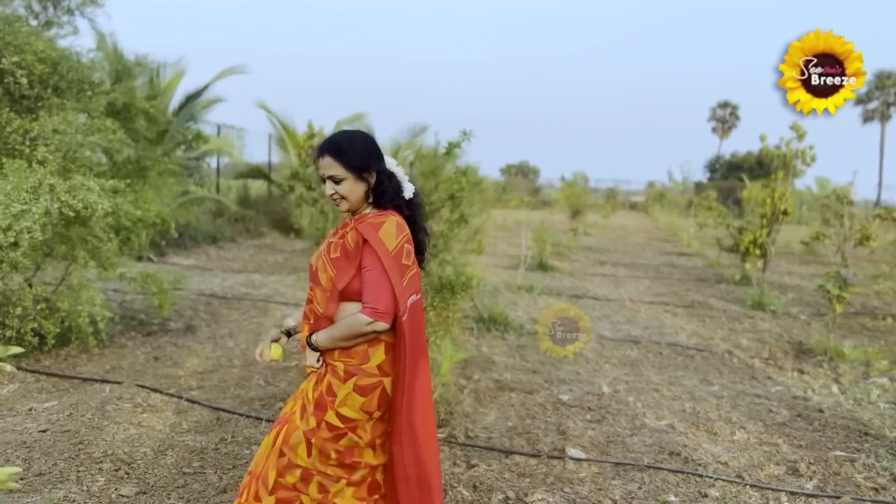 Matured Seetha open intentional navel show in orange saree mp4 snapshot 00 05 987 — Postimages
