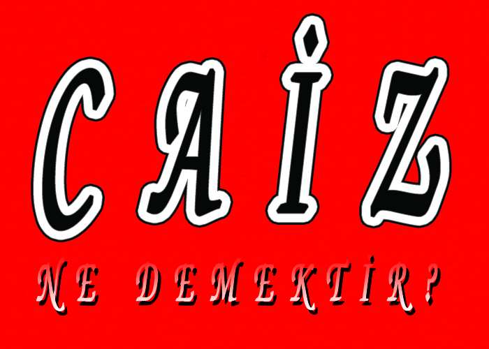 Caiz ne demektir? | TopragizBiz.com