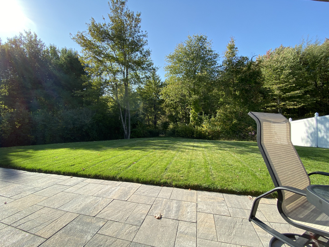 grass1 — Postimages