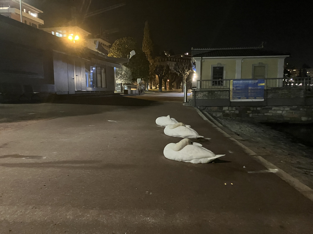 18 D0 D88 B 92 A7 41 A8 835 D D3 C32 C5462 F5 — Postimages