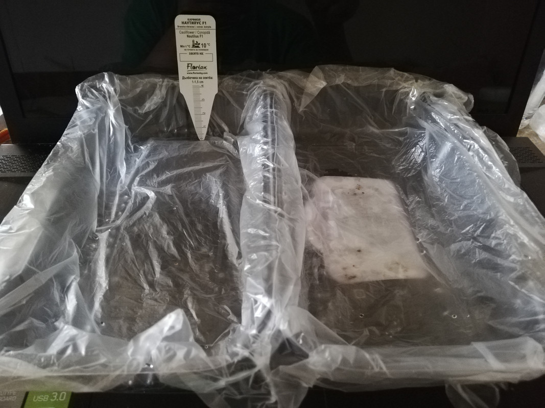 IMG 20200519 180946 — Postimages