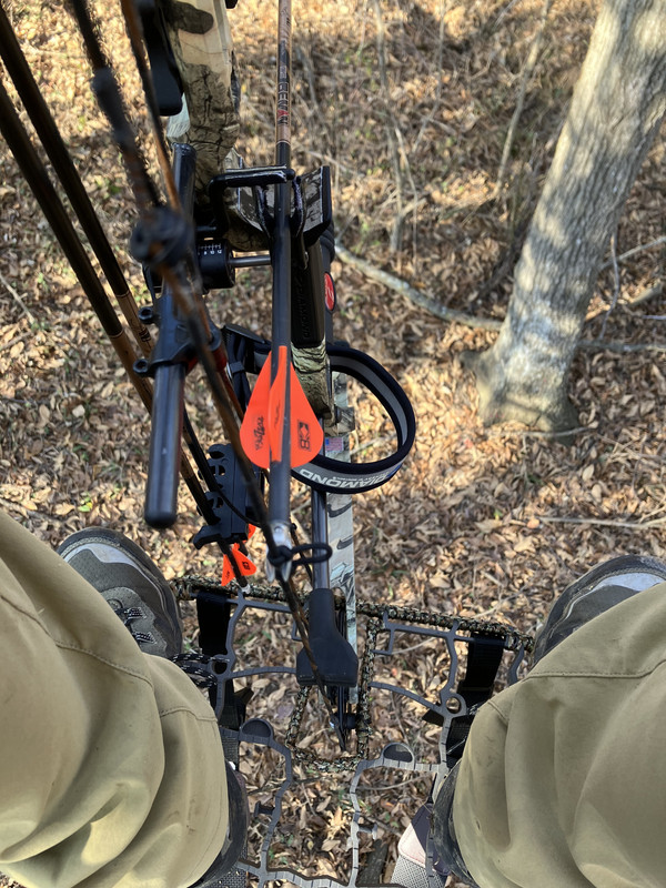 LWCG stand setups | Page 23 | saddlehunter.com